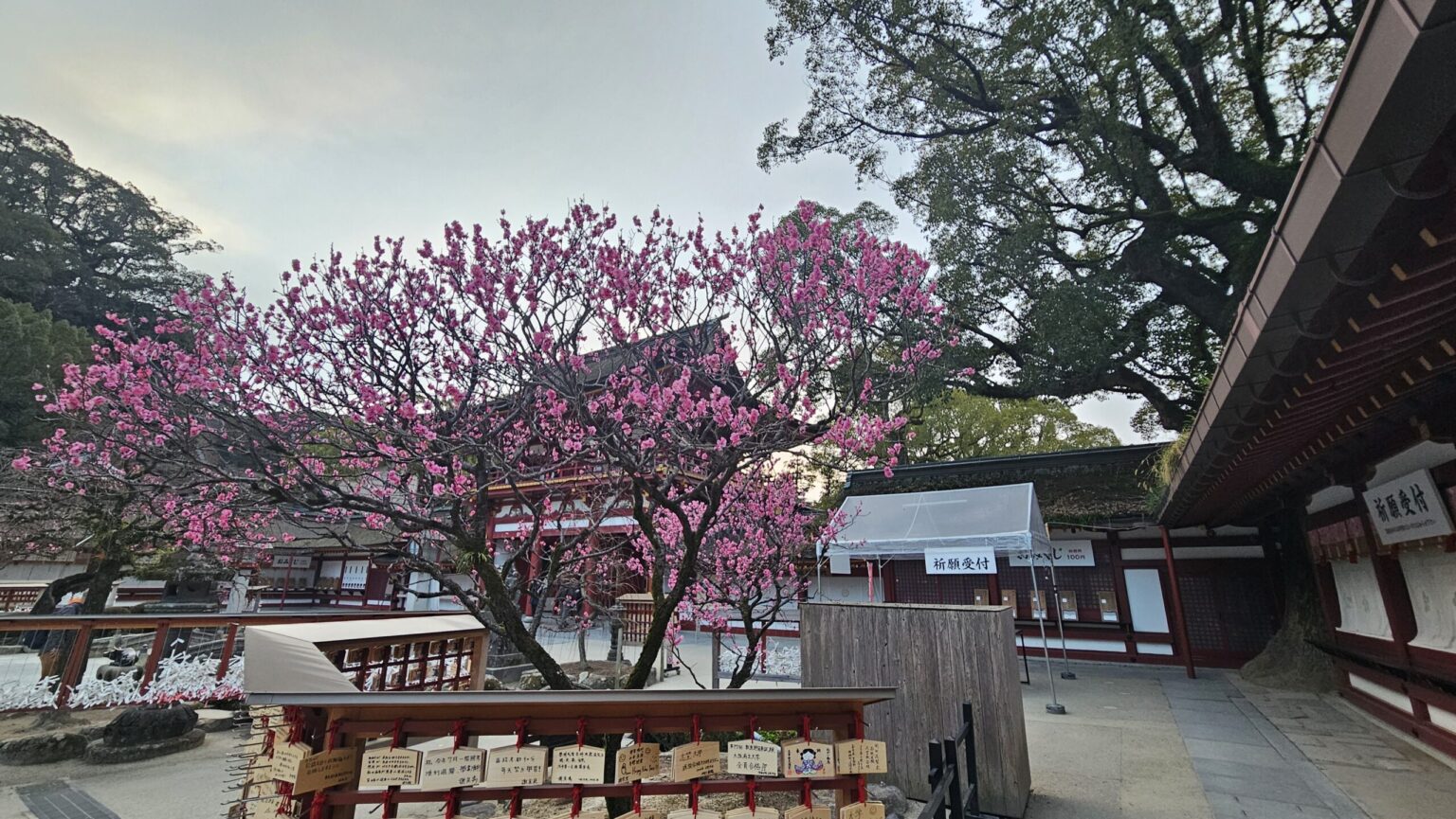 Complete Guide to Dazaifu Tenmangu Shrine: History, Highlights, and ...