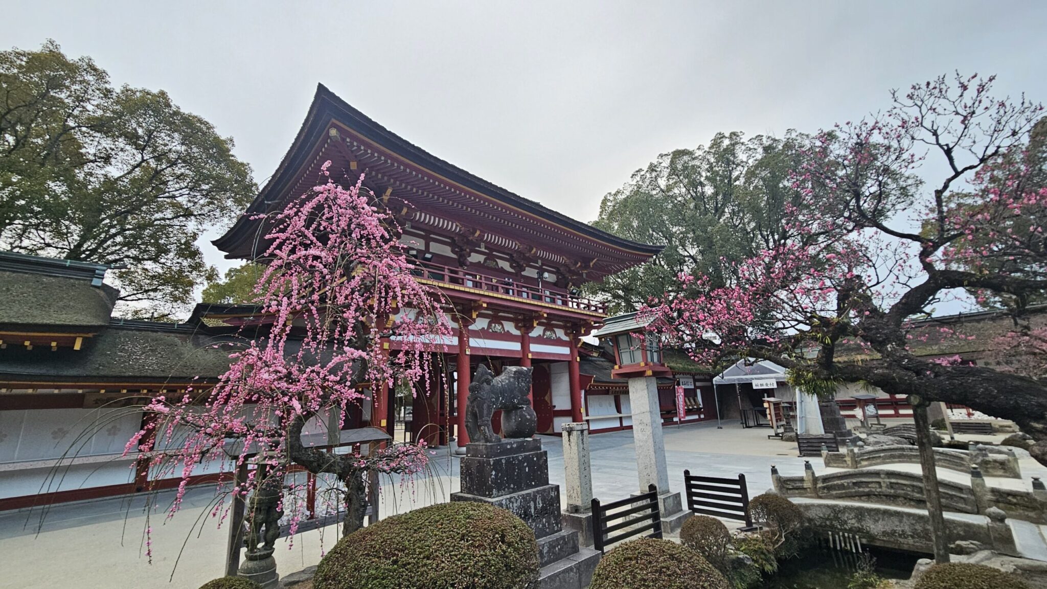 Complete Guide to Dazaifu Tenmangu Shrine: History, Highlights, and ...